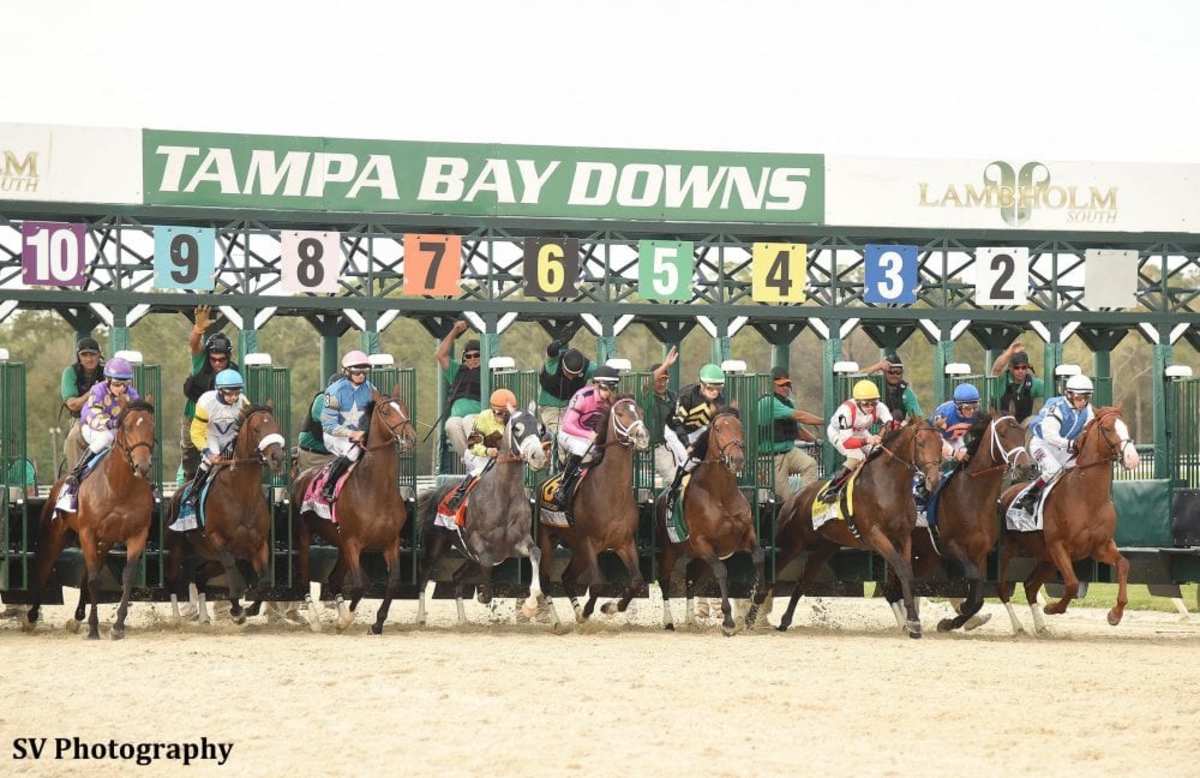 Tampa Bay Downs pushes back Sunday racing to Jan. 4