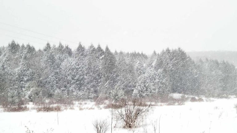 Biting cold with widespread light snow changing to localized heavy lake ...