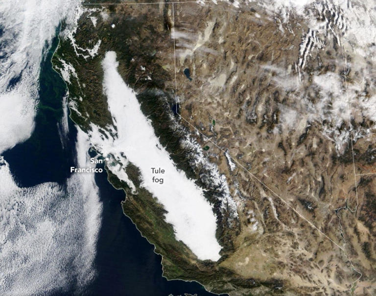 Tule fog grips California’s Central Valley with no relief in sight