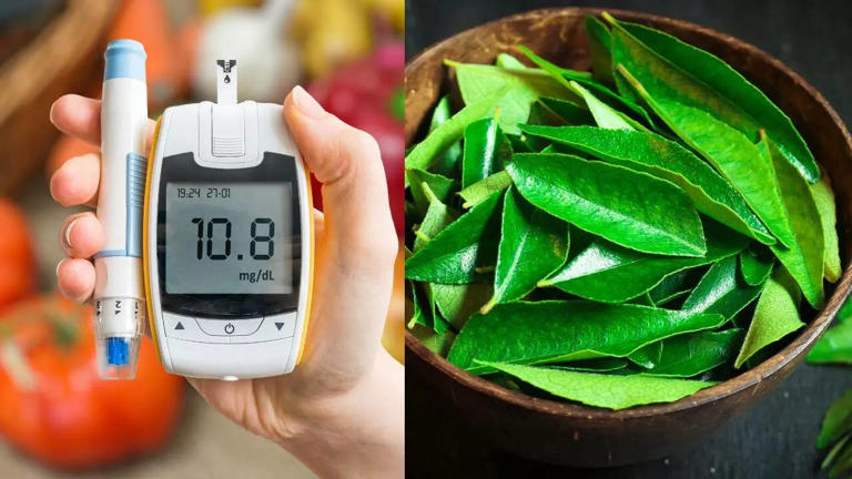 Control blood sugar by chewing curry leaves daily; know benefits, risks ...