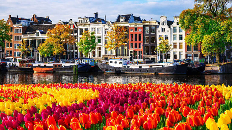 Which place is known as the Netherlands of India?