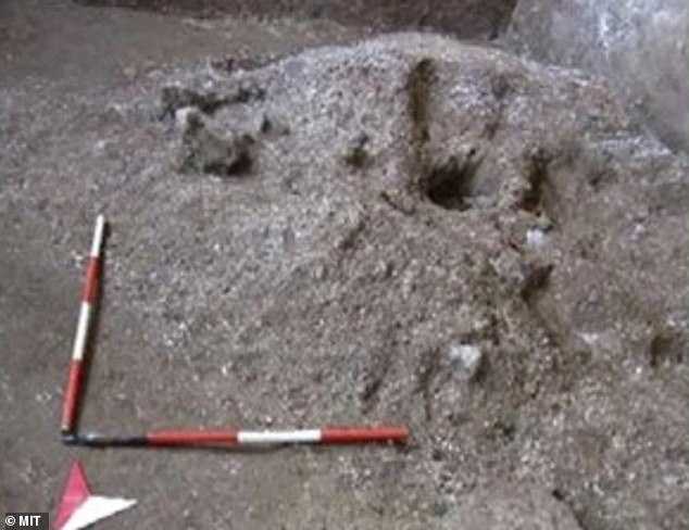 Discovery at Pompeii confirms long-lost secret that built the Roman Empire
