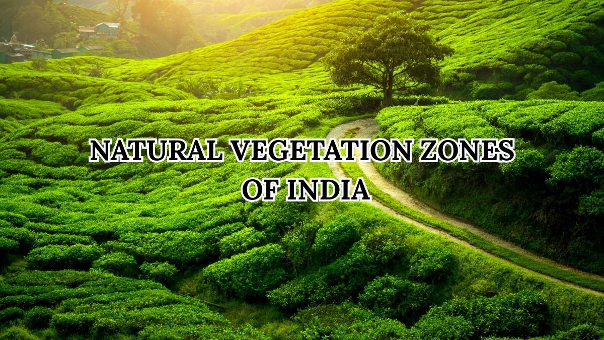 List of natural vegetation zones in India