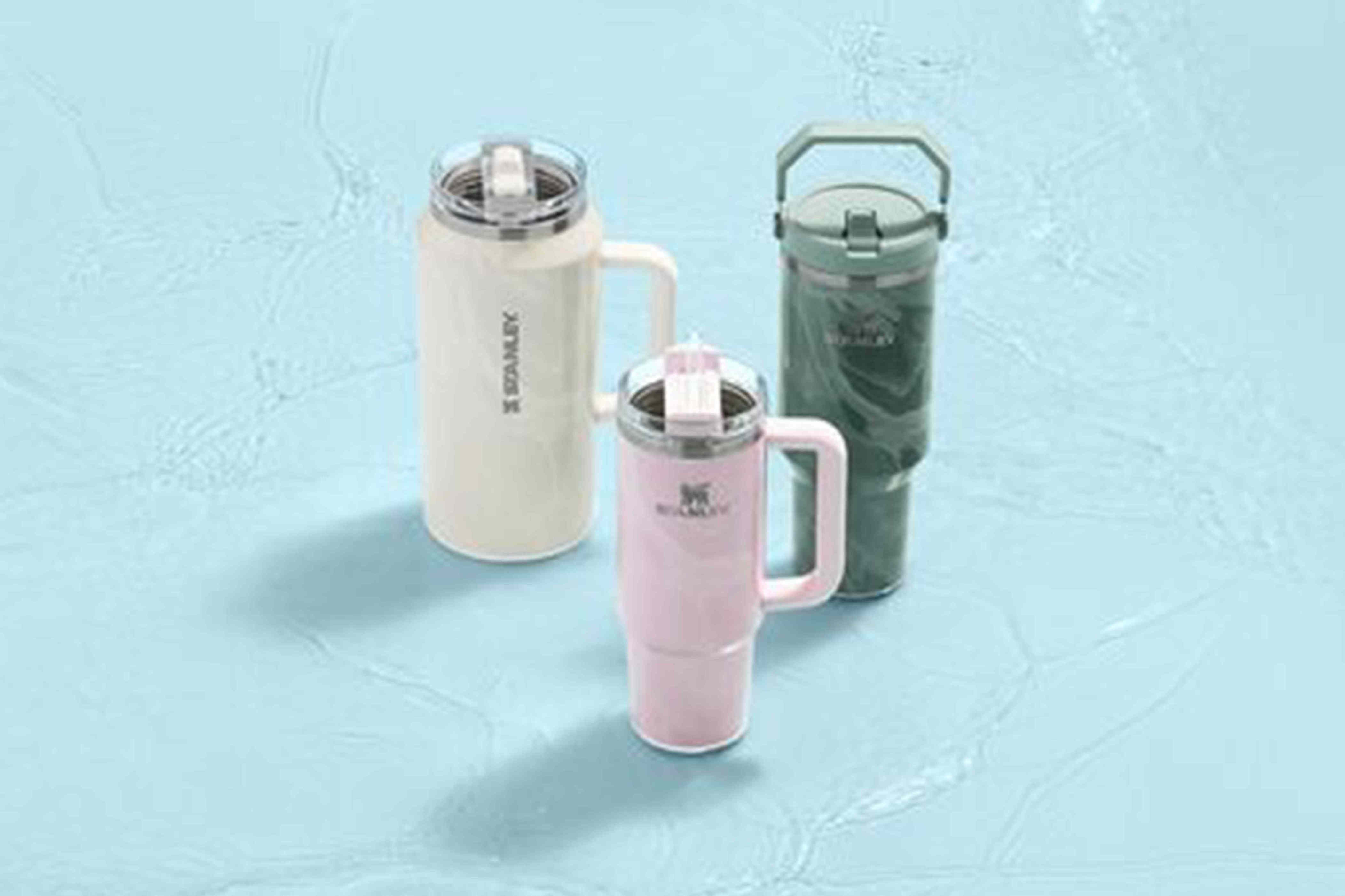 Stanley’s ‘New Year, New You’ collection is selling out fast—over ...