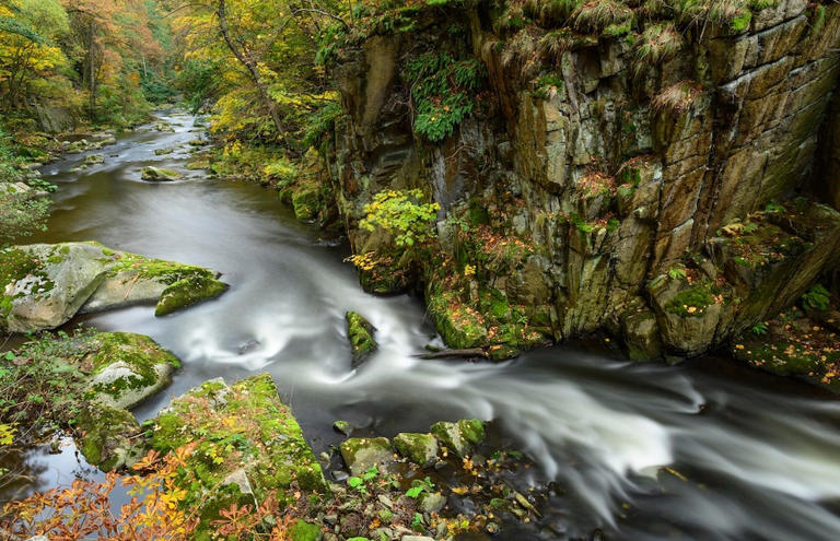 The most beautiful and wild valleys in the Harz
