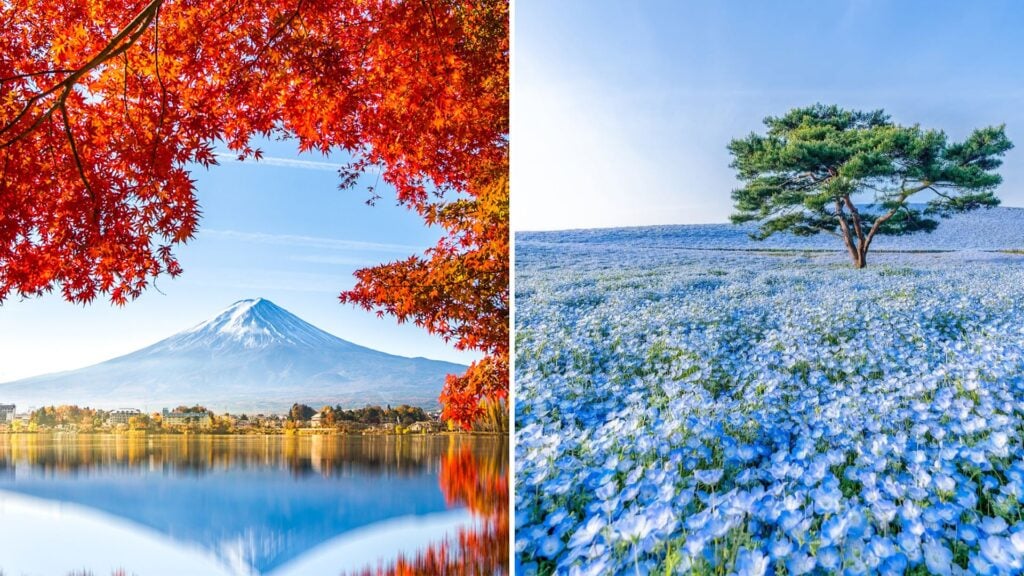 Japan places that capture the joy of travel