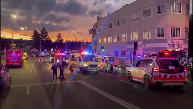 Ten people confirmed dead in shooting incident at Bondi Beach - police