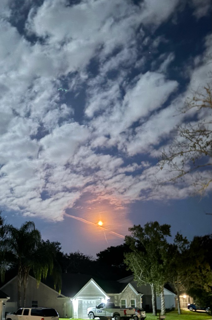 SpaceX rocket launch from Florida scrubbed. When is liftoff?