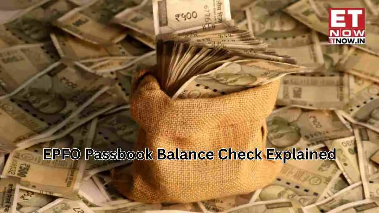 EPFO passbook balance check explained: Here's how members can check PF ...