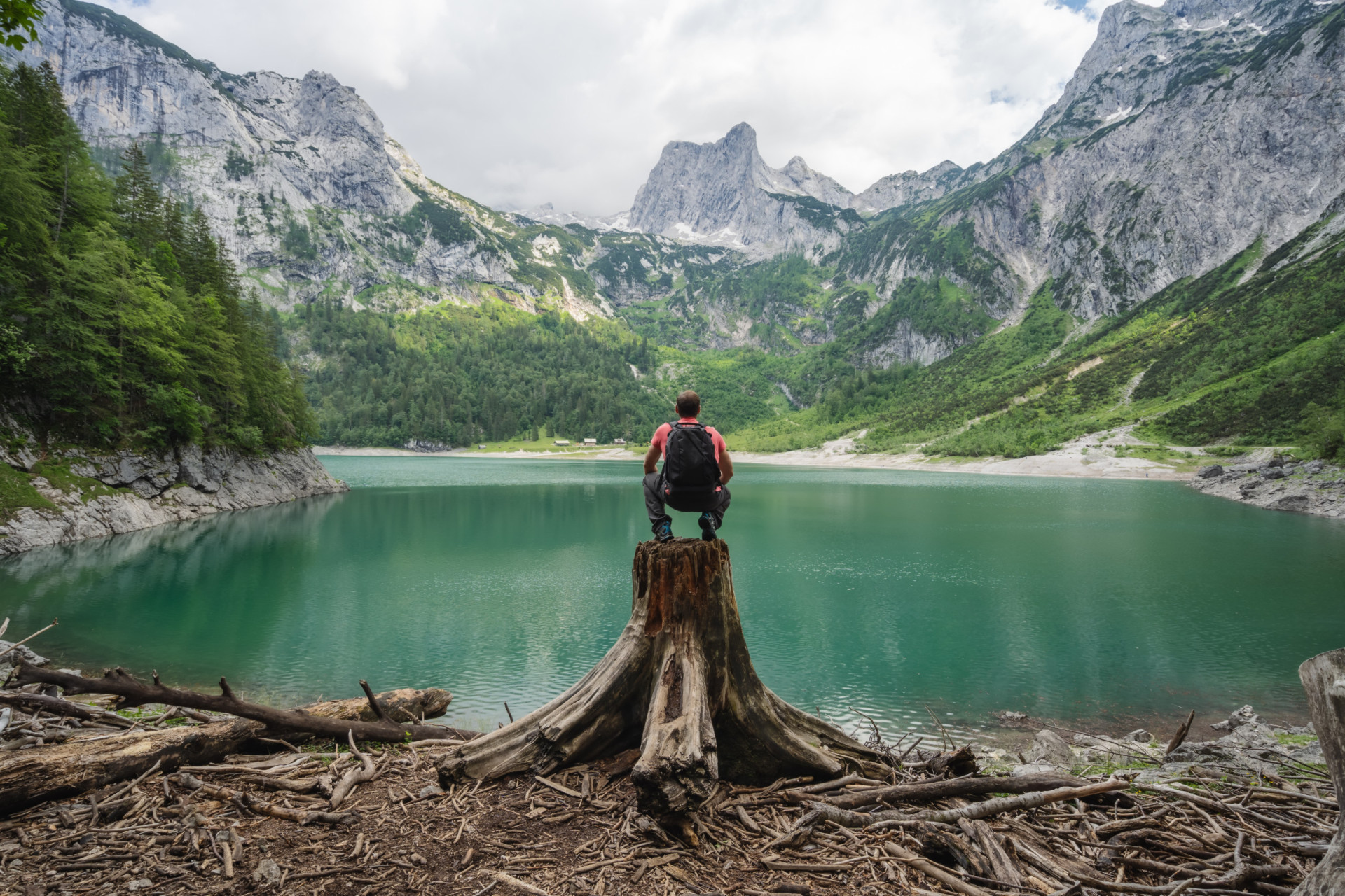 Amazing European forests you'll want to explore
