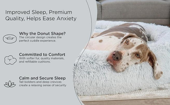 15 gifts for pets that they'll love more than the wrapping paper