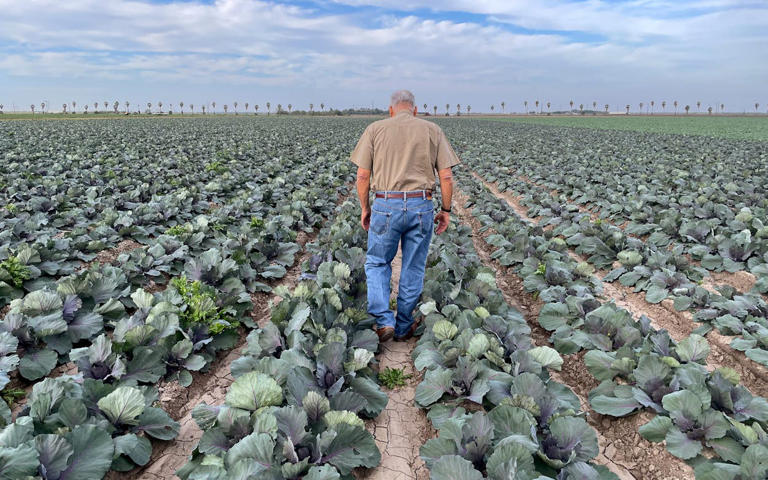 Non solo dazi: perché l’acqua può provocare la crisi più grave tra USA ...