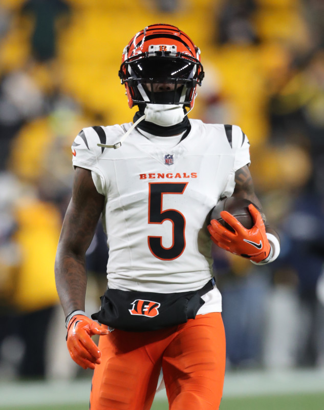 Bengals sign young WR following scary Tee Higgins concussion