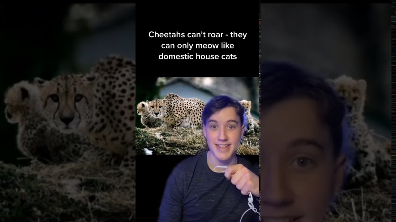 Odd-sounding facts that turned out to be scientifically true