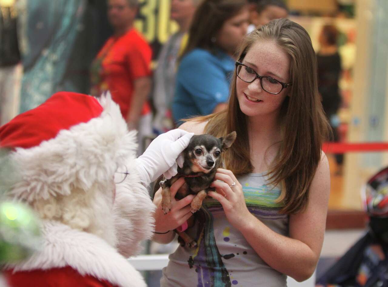 Where to take your pet to meet Santa in Houston this holiday season