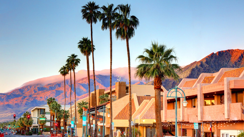 Escape the chaos of the cities and embrace serenity at California's ...