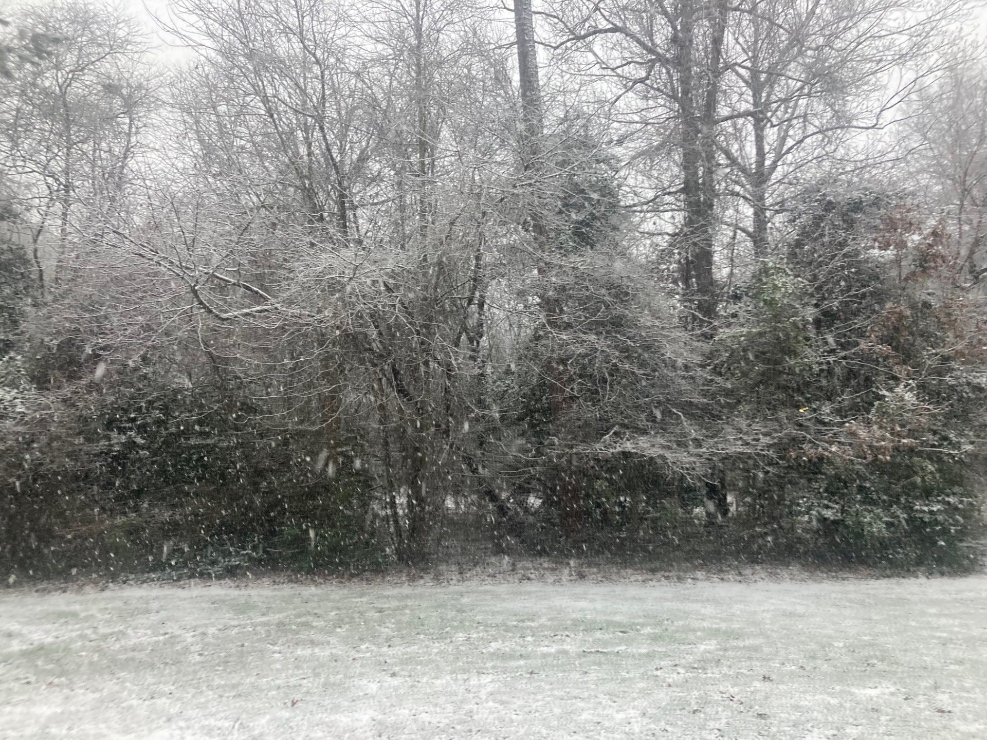 Snow comes to Salisbury for 2nd time of season. How much to expect
