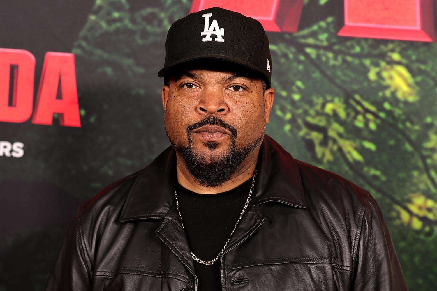 Ice Cube says he 'jumped' at the chance to make a cameo in "Anaconda ...