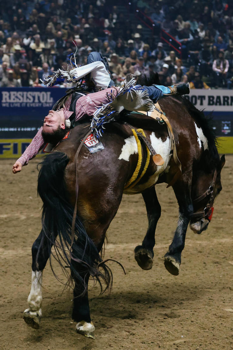 NFR day 10: Steiner, Wright among world champions crowned — photos