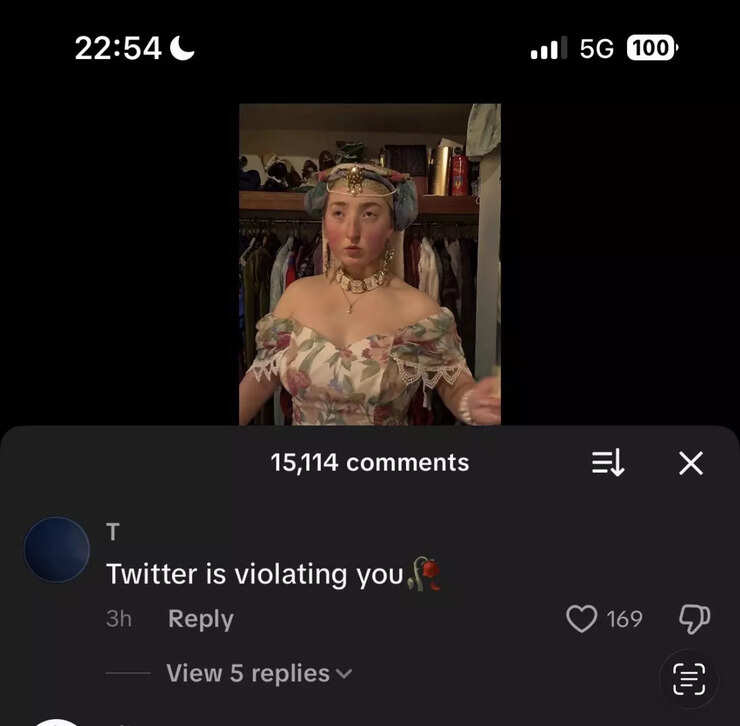 Who is Alana O’Brien? Viral social media ‘Renaissance beauty’ has fans in awe and critics in outrage