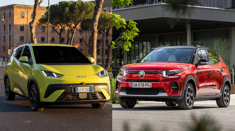 BYD Dolphin Surf vs Citroen C3, piccole a confronto: versioni e prezzi