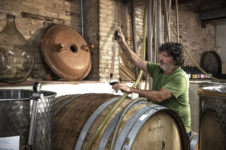 El vino de la semana: Sota els Ametllers 2024 de Ton de la Salada