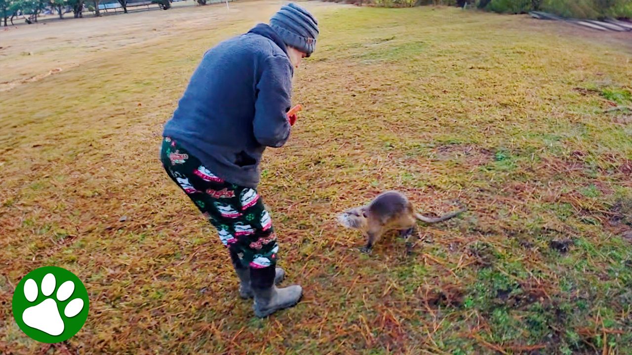 Woman discovers mystery creature living in her pond