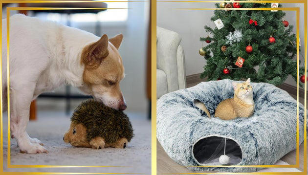 15 gifts for pets that they'll love more than the wrapping paper