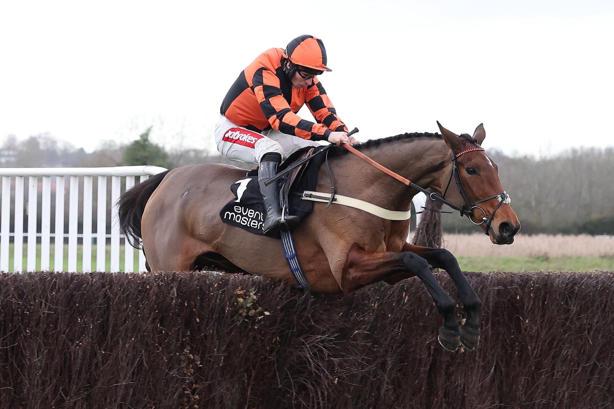 Diva Luna takes Warwick's feature race to set up a double for trainer ...