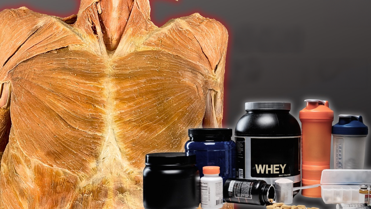 Top supplements to boost performance