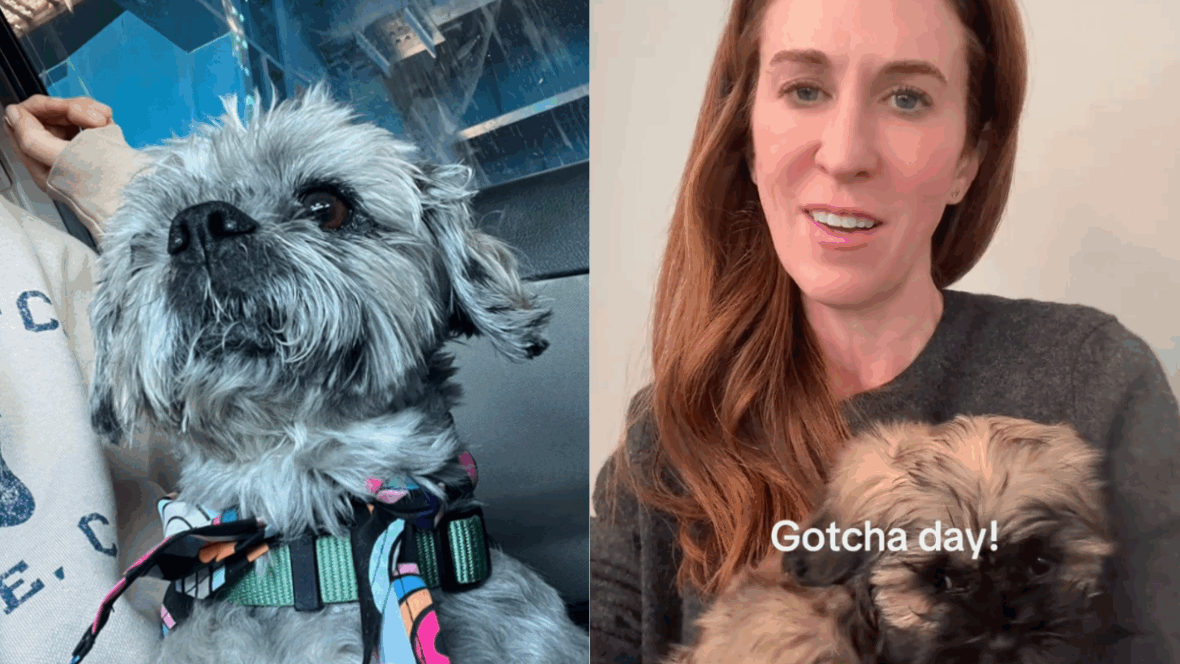 She lost her soul dog—then spent $50,000 hoping to bring a piece of him ...