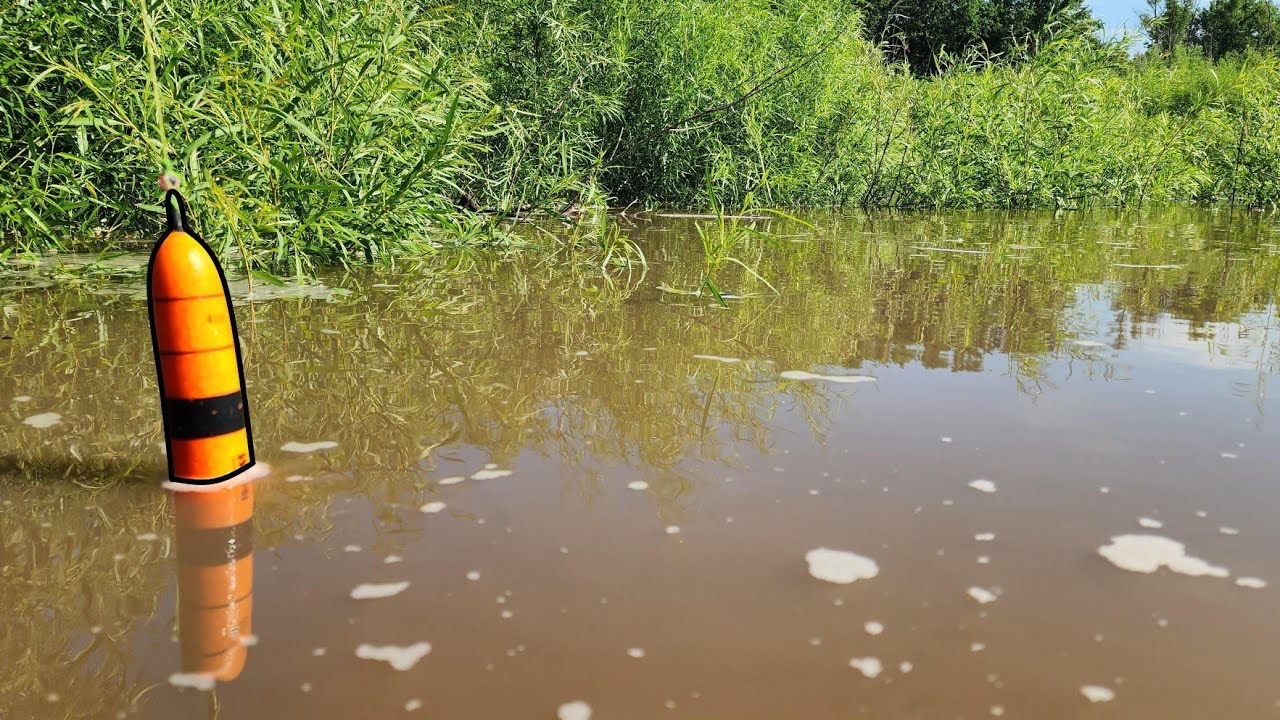 I caught big catfish in a flooded river!