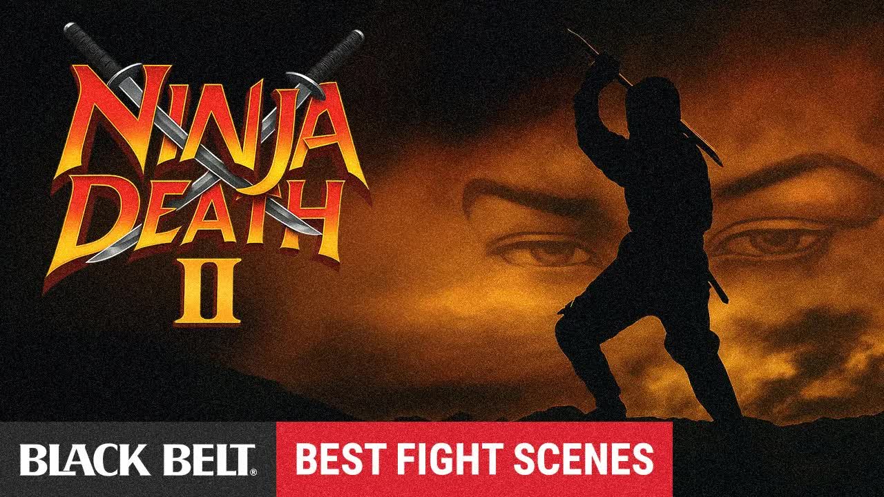 Best fight scenes from classic kung fu movie Ninja Death 2