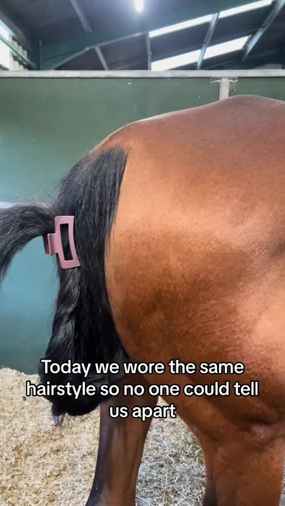 Matching hairstyles with my horse for a fun lookalike day