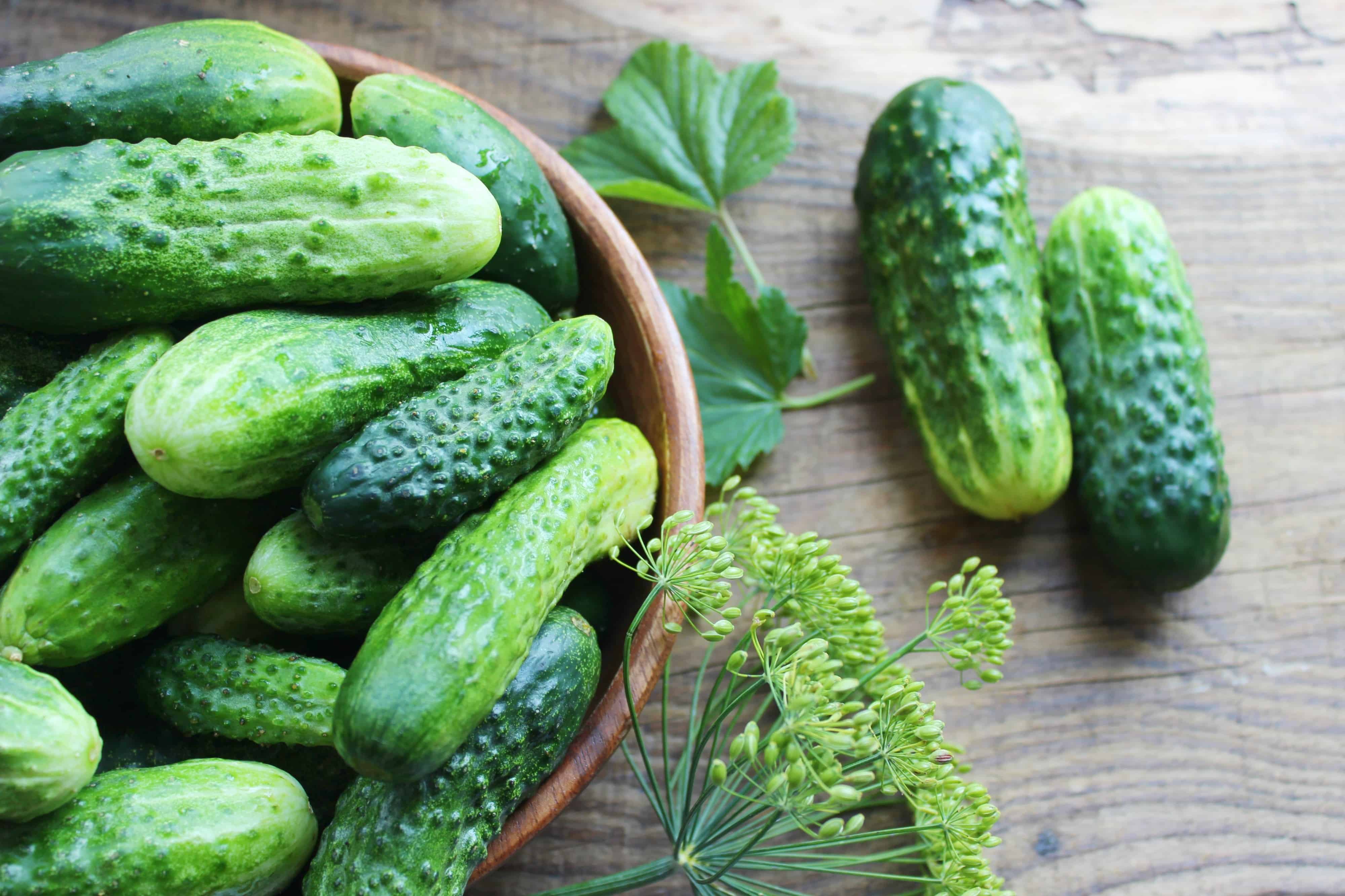 11 vegetables that are safe for dogs to eat