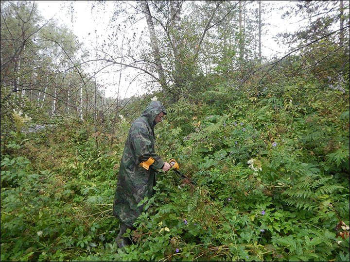 Archaeologists discover 2000-year-old ‘Great Wall of Siberia’
