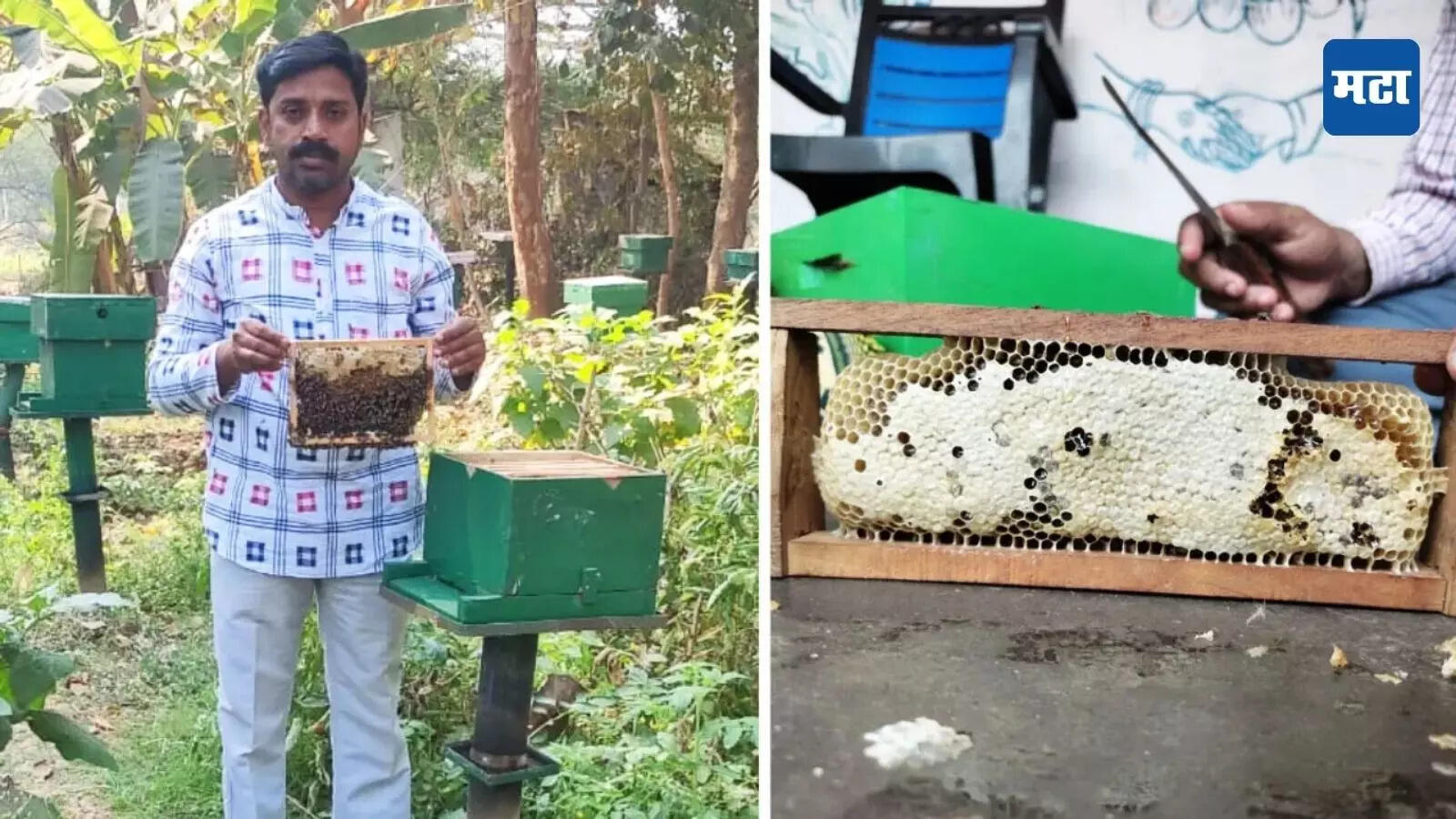 17,000 रुपयांची नोकरी सोडली; आधुनिक पद्धतीचा वापर करुन सुरु केला ...