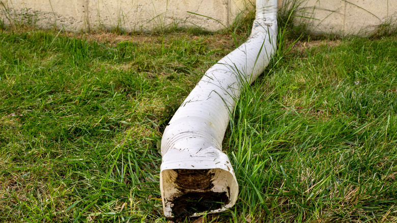 Tired of the ugly downspouts in your yard? This DIY makes them less of ...