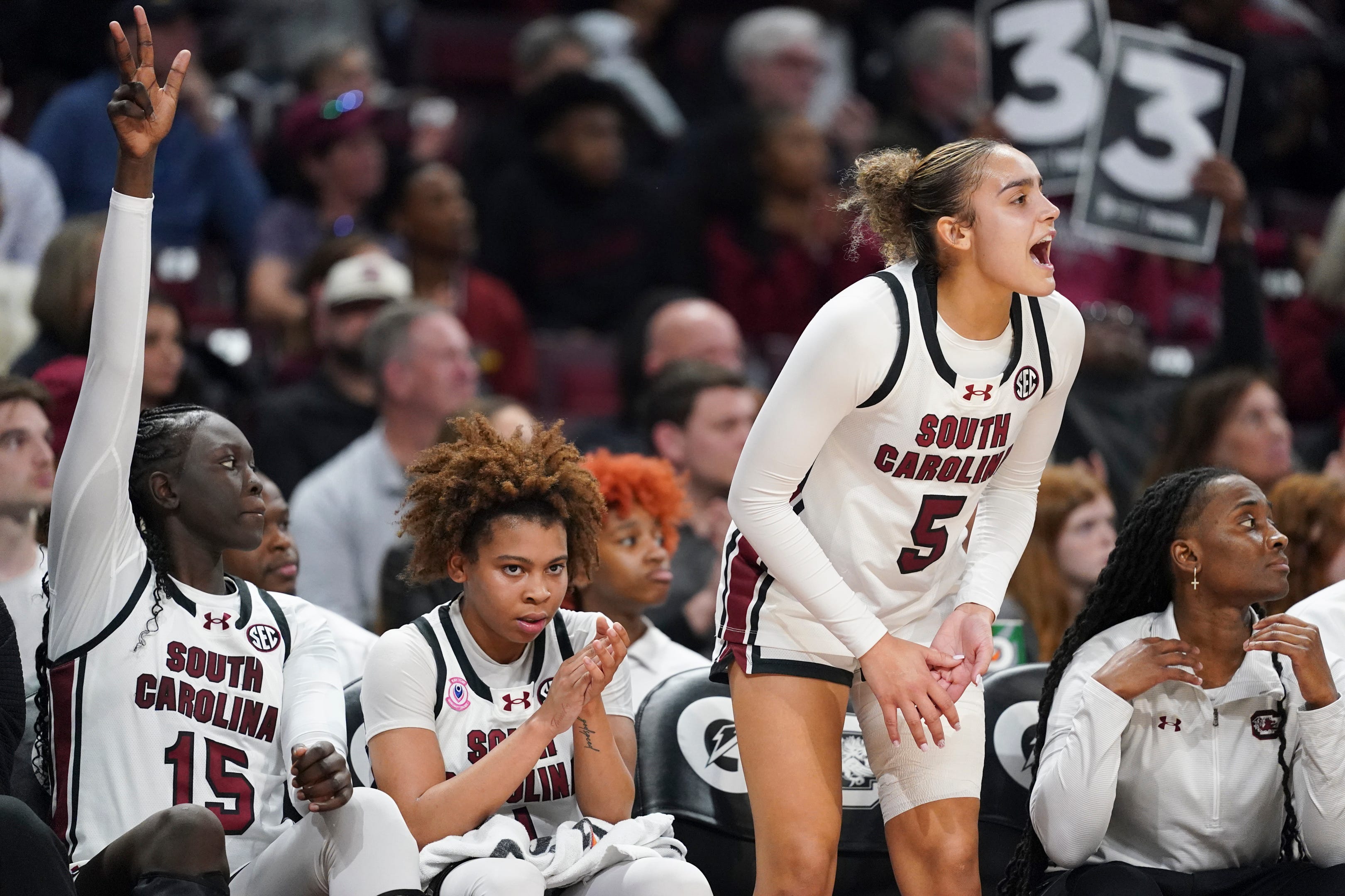 South Carolina women's basketball vs FGCU score, Gamecocks rout Eagles