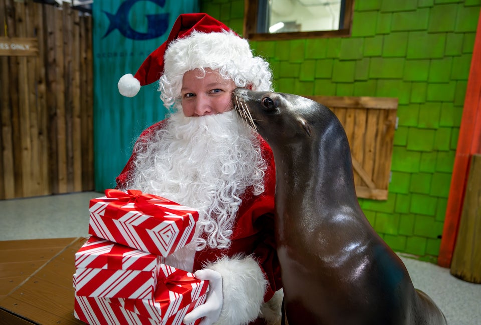 Atlanta’s unusual & underrated Christmas and holiday activities