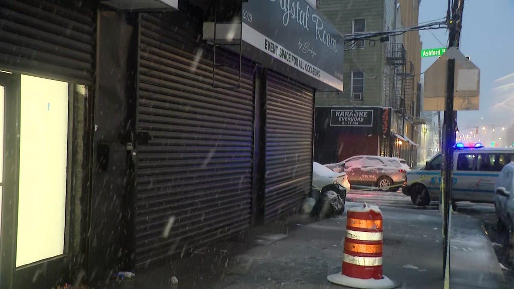 6 teens shot after Sweet 16 party in Brooklyn, New York City police say