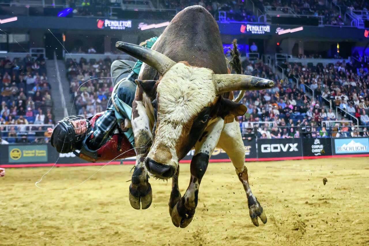 Vaughan wins PBR Velocity Tour event at Albany's MVP Arena