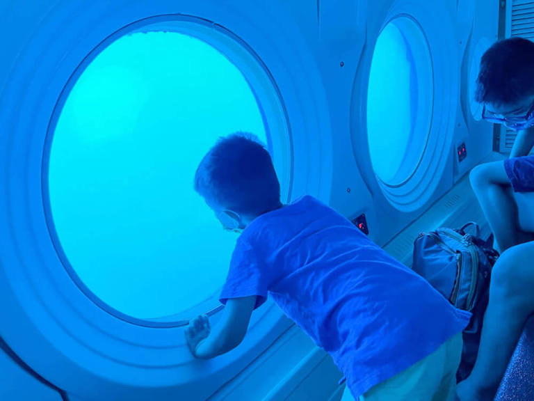 10 best Oahu activities for toddlers that won't make you want to pull ...