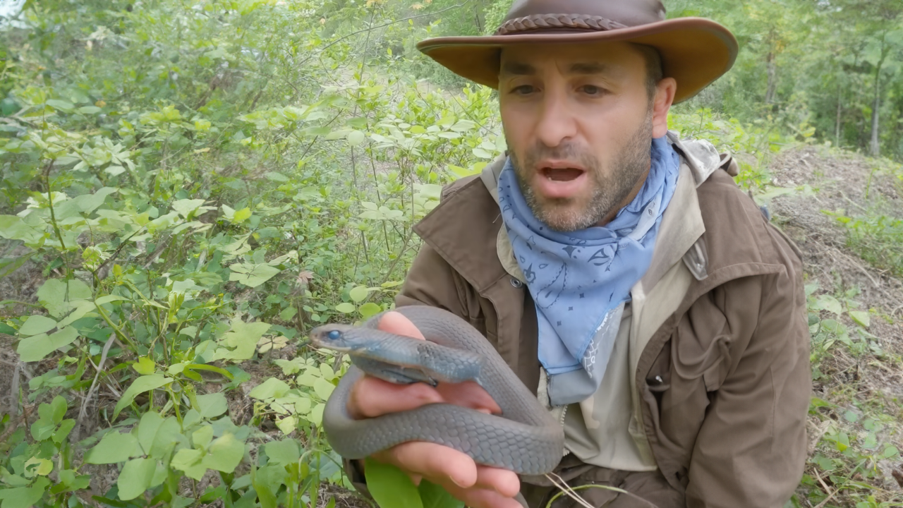 The unknown snake of Bolivia