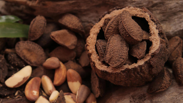 14 foods with just as much healthy fat as an avocado (if not more)