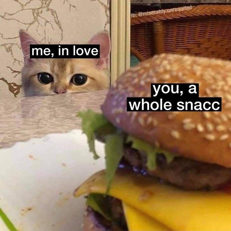 30 memes that send their message
