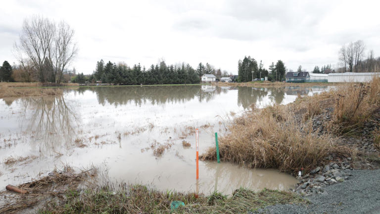 Inondations en C.-B : l’autoroute 1 à Abbotsford rouverte dans les deux ...