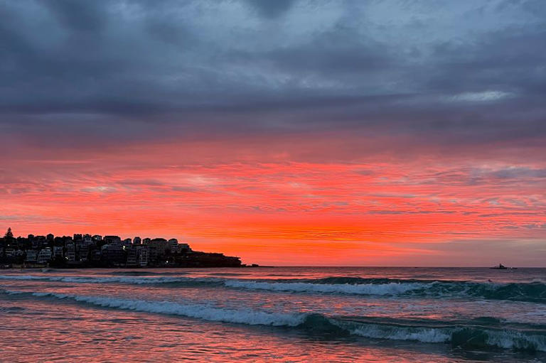 'I live in Bondi and it felt like the safest place in the world - but ...