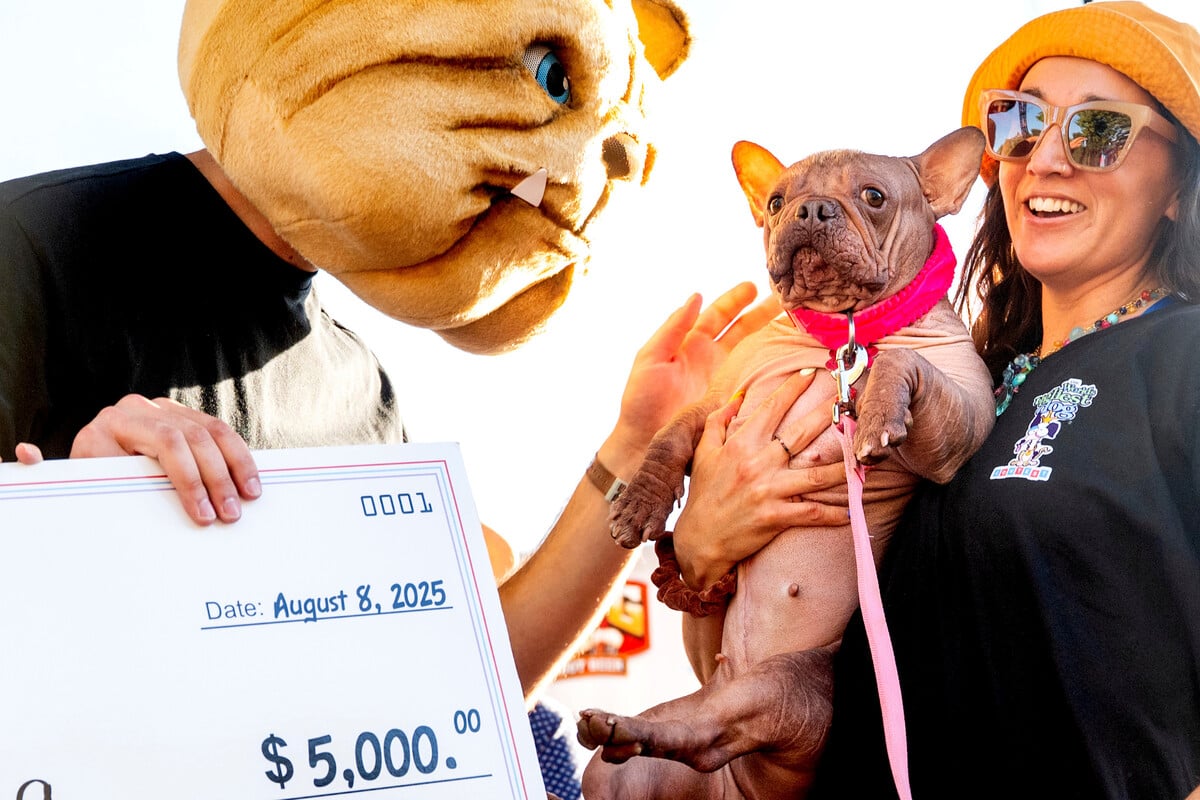 Furless, wrinkled, and fabulous – meet the 2025 World's Ugliest Dog ...
