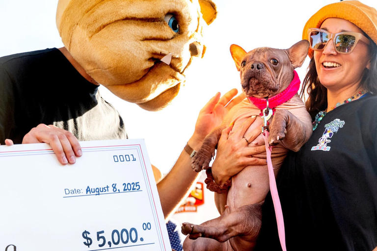 Furless, wrinkled, and fabulous – meet the 2025 World's Ugliest Dog ...